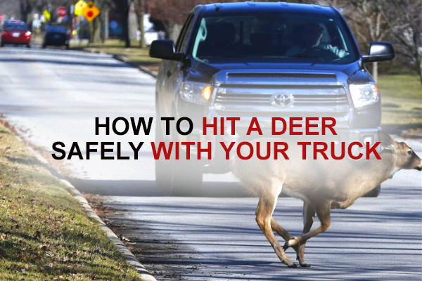 How to hit a deer safely with your truck – BumperOnly